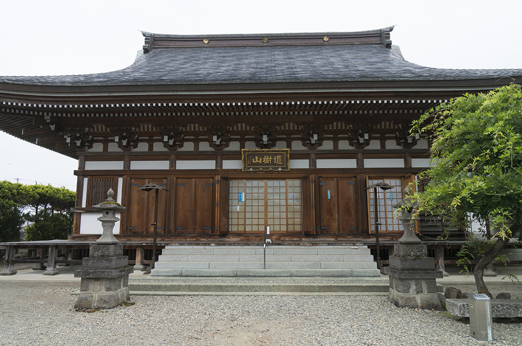 No 15175龍興寺の蓮 会津美里町 観光フォトライブラリ 法人教育団体メディアの皆様向けふくしまの旅